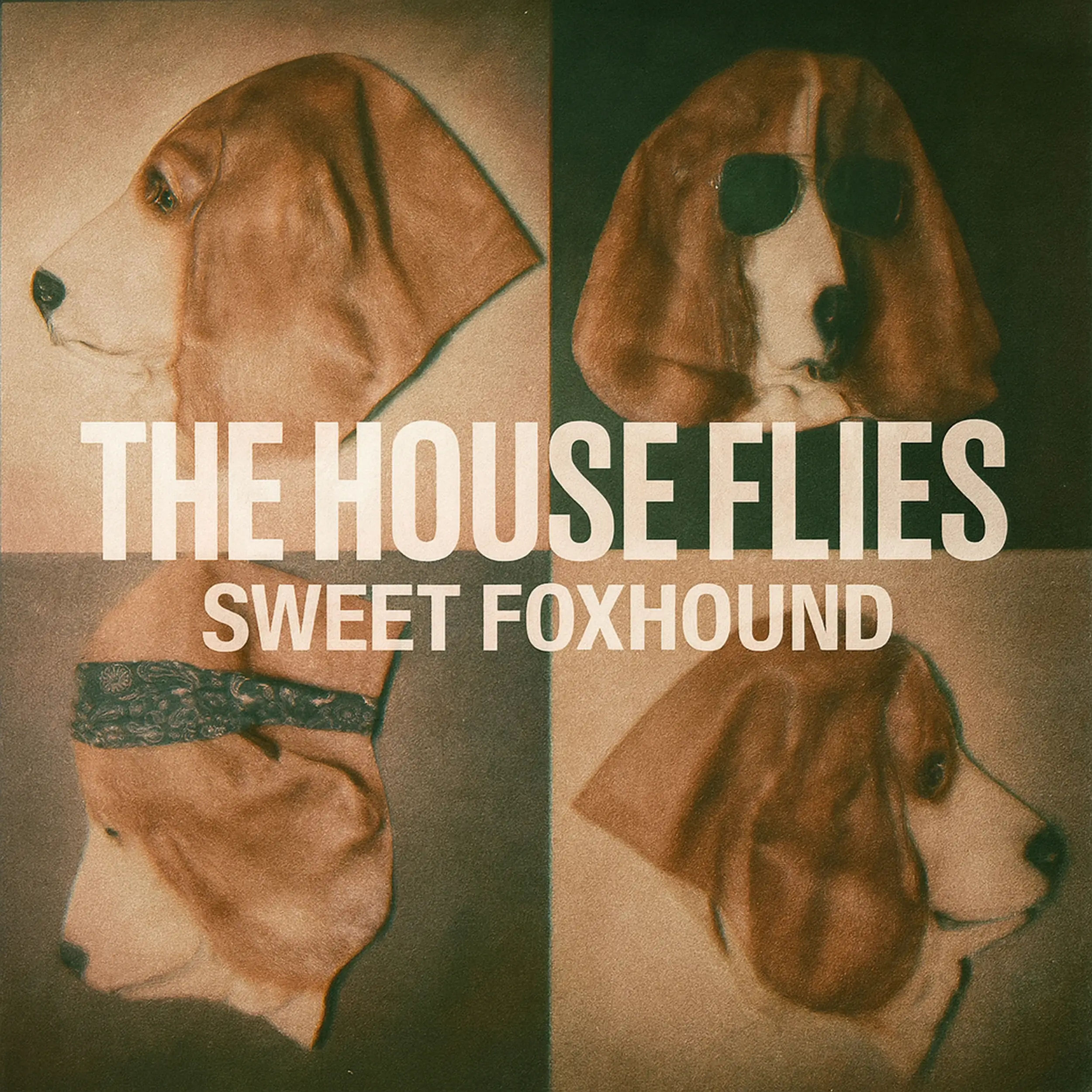 Who Let The Dogs Out? The House Flies Did With "Sweet Foxhound" | The ...